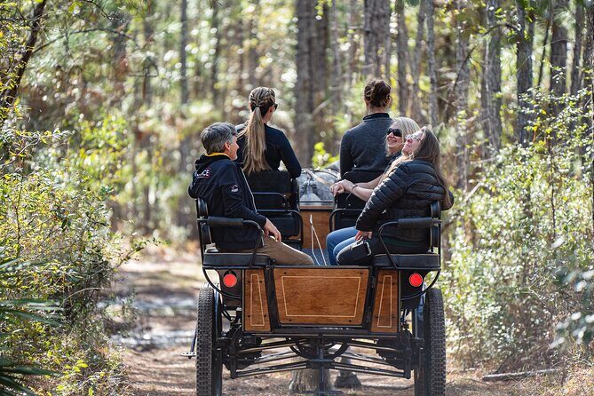 Sunset Carriage Ride and Dinner - Who Should Consider This Experience?
