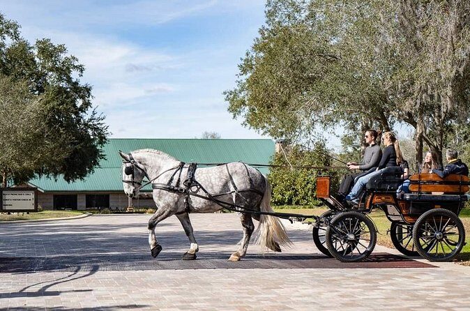 Sunset Carriage Ride and Dinner - FAQ