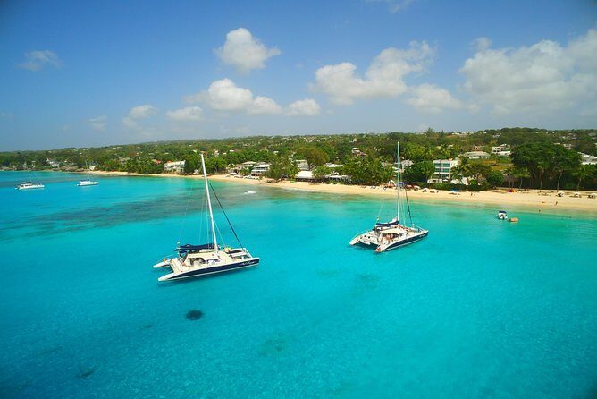 Sunset Catamaran and Snorkeling Cruise At Carlisle Bay - Key Points