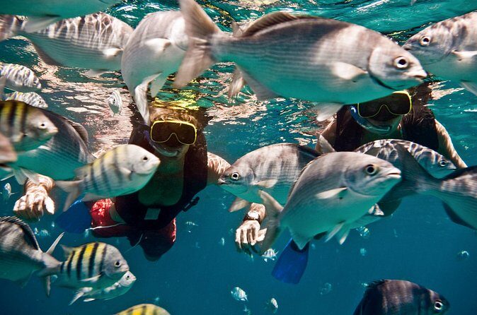 Sunset Catamaran and Snorkeling Cruise At Carlisle Bay - Practical Tips for Participants