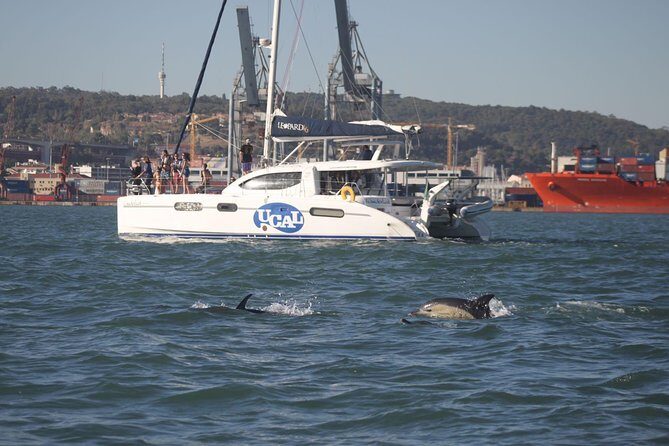 Sunset Catamaran in Lisbon | Music and Open Bar - The Experience You’re Getting