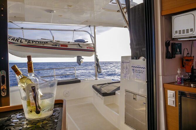 Sunset Catamaran Tour l Madeira Island - Practical Details for Travelers