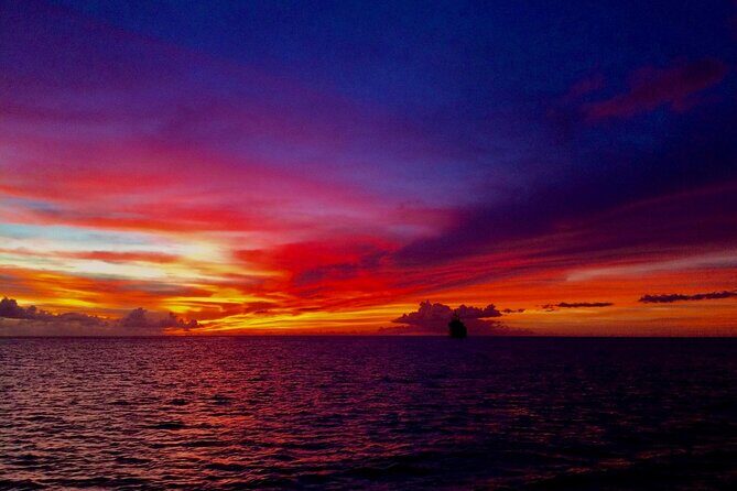 Sunset & Champagne Cruise on a Classic Schooner with boat dogs - An Introduction to the Cruise