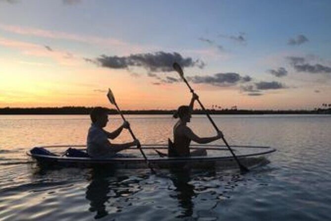 Sunset Clear Kayak or Clear Paddleboard in Orlando - A Calm, Scenic Paddle Near Orlandos Downtown