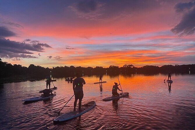 Sunset Clear Kayak or Clear Paddleboard in Orlando - Who Will Love This Tour?