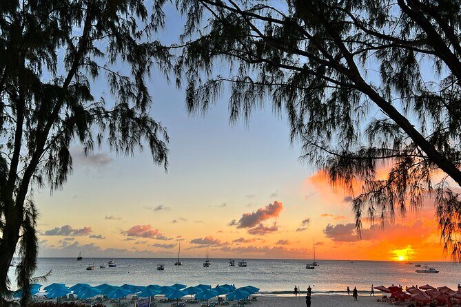 Sunset Cruise and Dinner - Who Is This Tour Best For?