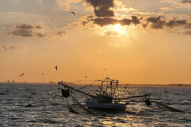 Sunset Cruise Fort Lauderdale  Premium Experience-Skyline Views - An In-Depth Look at the Fort Lauderdale Sunset Cruise