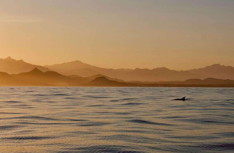 Sunset Cruise in San Jose del Cabo - An In-Depth Look at the Sunset Cruise Experience
