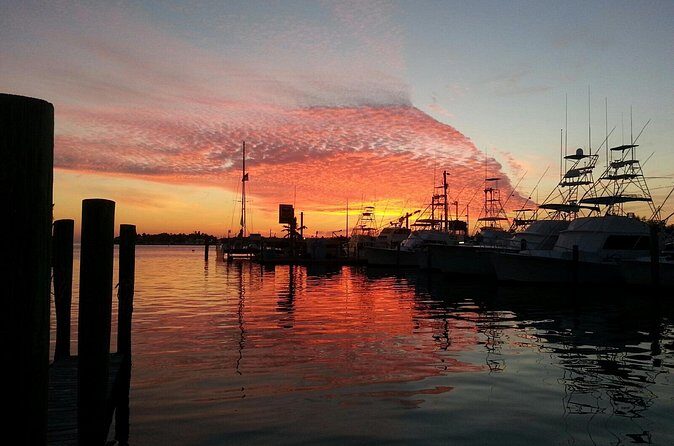 Sunset Cruise Key Largo-Option to Snorkel - Final Thoughts