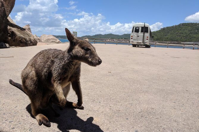 Sunset Cruise on Magnetic Island - The Itinerary in Detail