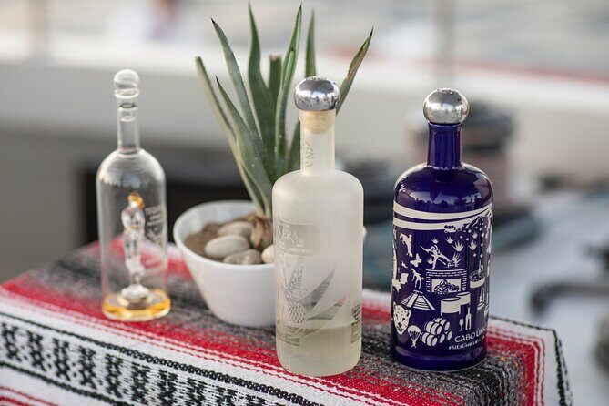 Sunset Cruise Tequila Tasting - Real Traveler Feedback