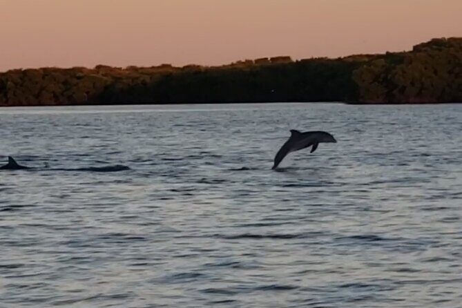Sunset Cruise to Johns Pass, Madeira Beach, St Pete Beach - Who Will Love This?