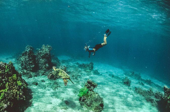 Sunset Cruise Trincomalee - Authentic Feedback From Travelers