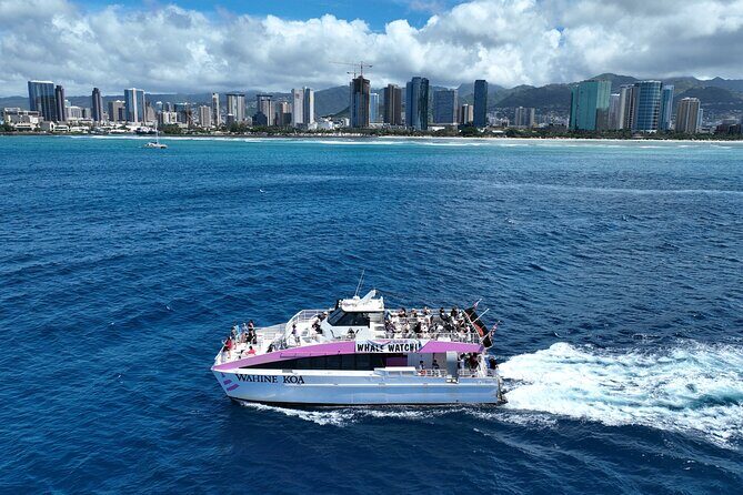 Sunset Cruise & Whale Watching from Oahu - Quality of Guides and Crew