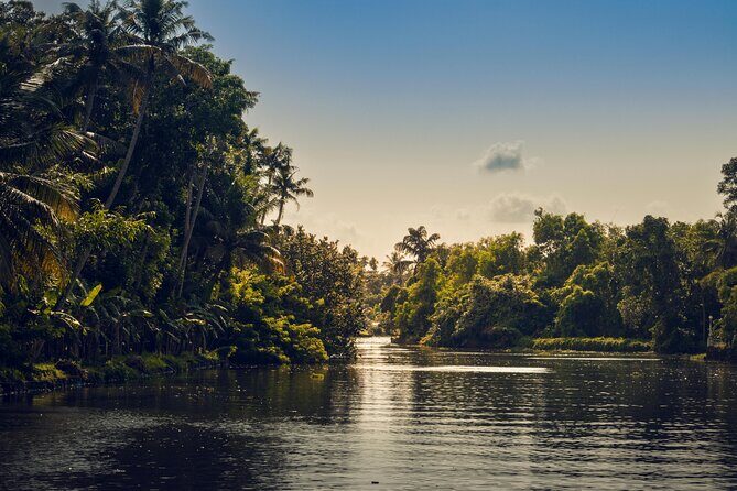 Sunset Cruise with Village Life and Local Food - A Closer Look at the Experience