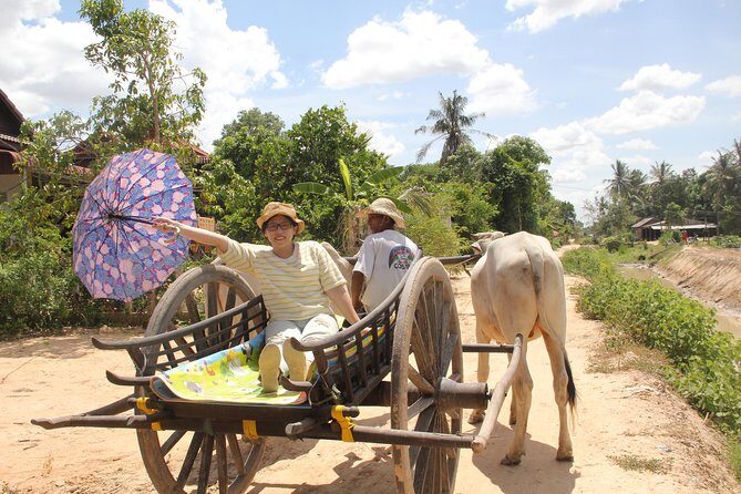 Sunset Dinner at Rice Paddy Fields - The Sum Up