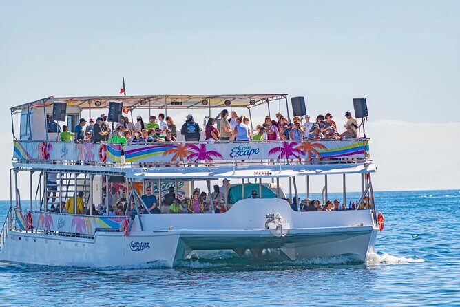Sunset Dinner Cruise with Tequila & tacos - Is This Tour Worth It?