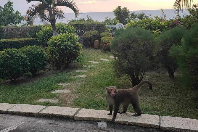 Sunset Dinner on Monkey Mountain - An Authentic Sunset Dining Experience in Kaohsiung