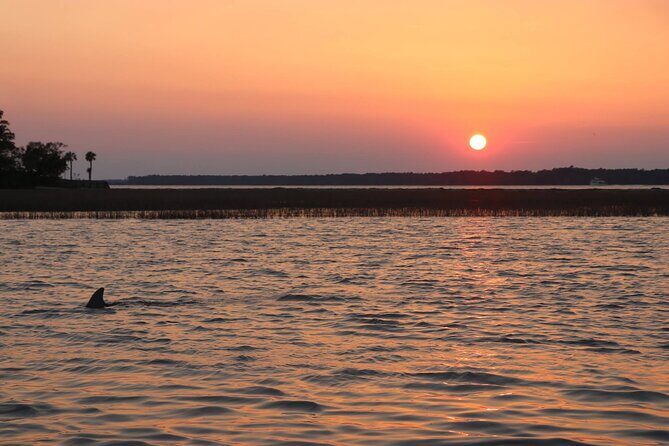 Sunset Dolphin Cruise in Hilton Head - Detailed Review of the Hilton Head Sunset Dolphin Cruise