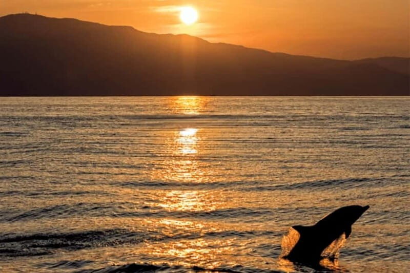 Sunset Dolphin Cruise with Dinner  Medulin Archipelago - Key Points