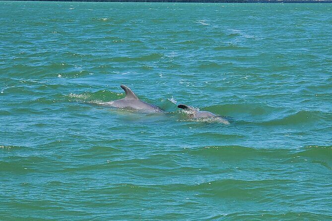 Sunset Dolphin Cruise with Sanibel Lighthouse Views - Who Will Love This Cruise?