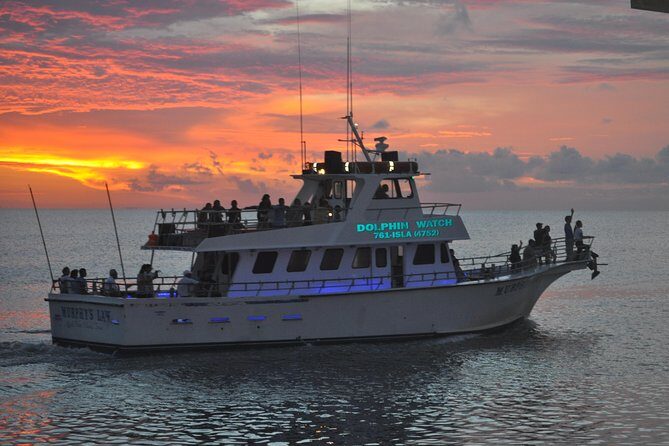 Sunset Dolphin Watch Tour - Final Thoughts