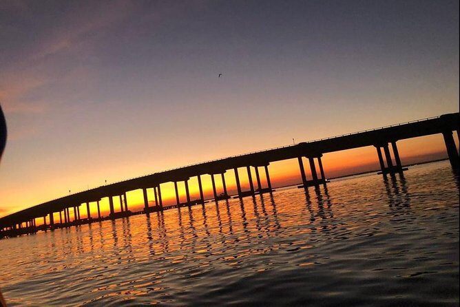 Sunset Dolphin Watching Cruise in Destin Harbor - An Honest Look at the Sunset Dolphin Watching Cruise