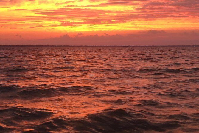 Sunset Dolphin Watching Cruise in Destin Harbor - Final thoughts