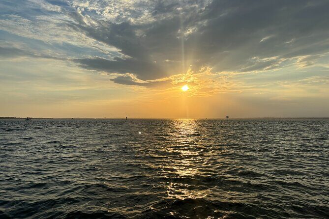 Sunset Dolphin Watching Tour - An In-Depth Look at the Sunset Dolphin Watching Tour