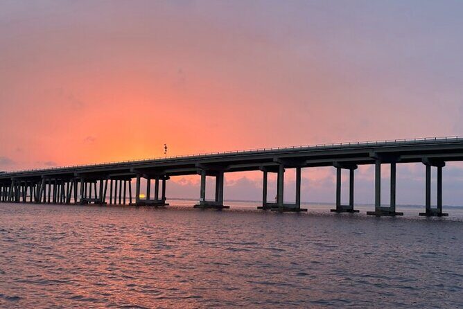 Sunset Dolphin Watching Tour - Final Thoughts