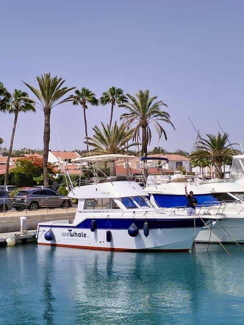 Sunset Dolphin Watching Tour on Hybrid Boat in Small Group - The Itinerary: What You Can Expect