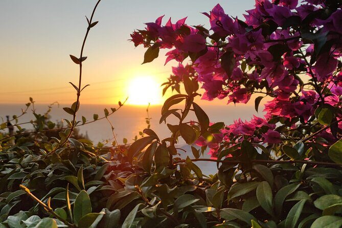 Sunset E-Bike Tour on the Sorrento Peninsula - The Itinerary in Detail