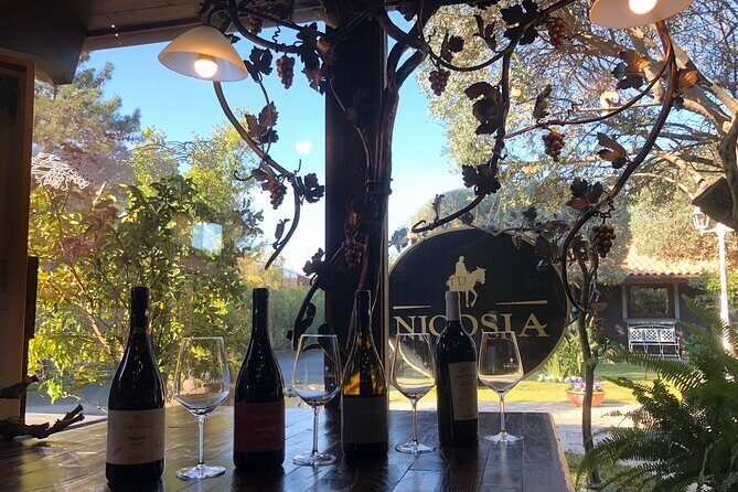 Sunset Etna & Wine  Private Experience - Authenticity and Expertise