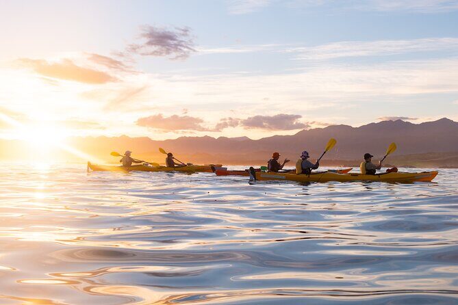 Sunset Evening Kayaking Tour - Kaikoura - A Complete Look at the Kaikoura Sunset Kayaking Experience