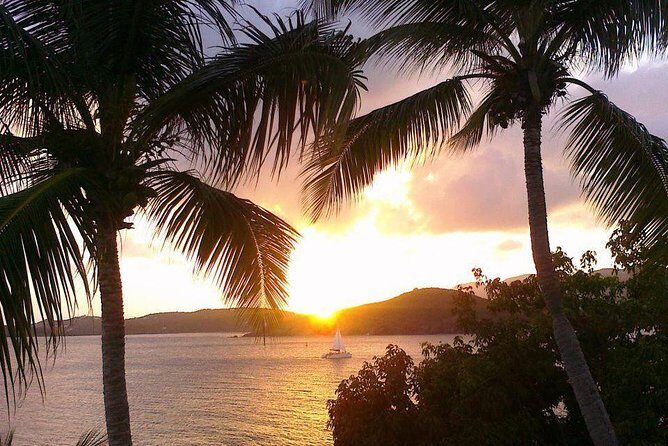 Sunset & Harbor Lights Dinner Sail from the Marriott's Frenchman's Cove - An in-Depth Look at the Sunset & Harbor Lights Dinner Sail