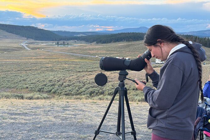 Sunset Hayden Valley Wildlife Safari | Catered Dinner | PRIVATE - Who Would Appreciate This Tour?