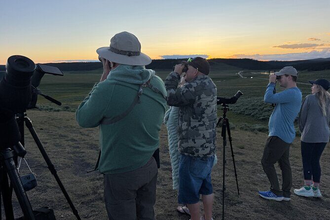 Sunset Hayden Valley Wildlife Safari | Catered Dinner | PRIVATE - The Sum Up: Is This Safari Worth It?