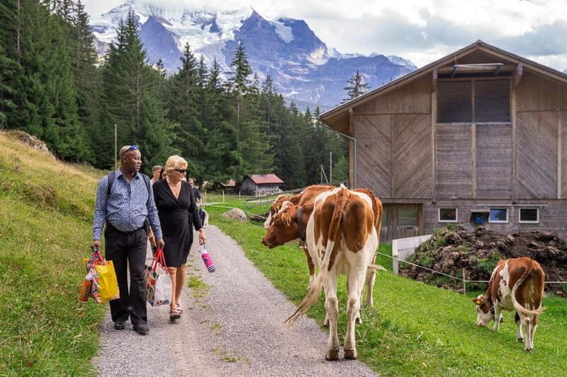 Sunset Hike with Cheese Fondue in Wengen - Comparing the Experience: Value and Unique Features