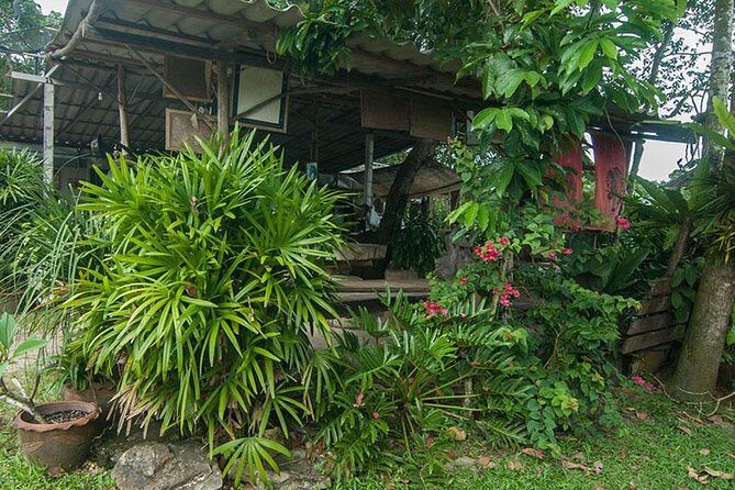 Sunset Horse Riding Tour at Ao Nam Mao Beach Krabi - Final Thoughts