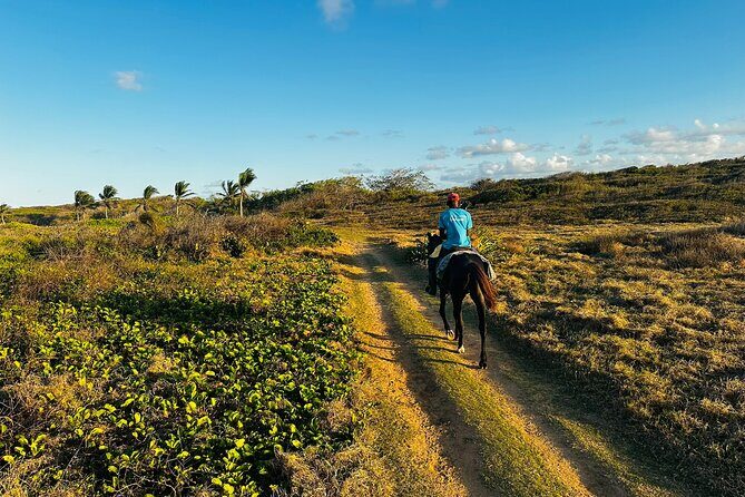 Sunset Horseback Ride at Macao Beach & Forest with Transfers - An In-Depth Look at the Sunset Horseback Ride Experience