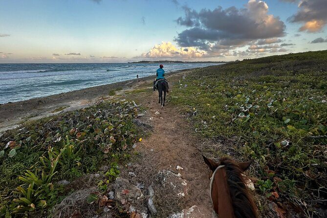 Sunset Horseback Ride at Macao Beach & Forest with Transfers - The Sum Up