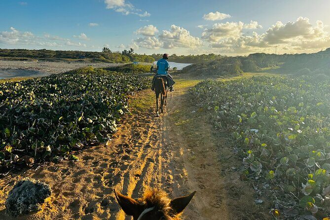 Sunset Horseback Ride at Macao Beach & Forest with Transfers - Frequently Asked Questions