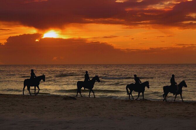 Sunset Horseback Ride by the Beach in Aguadilla, Puerto Rico - An In-Depth Look at the Sunset Horseback Ride in Aguadilla
