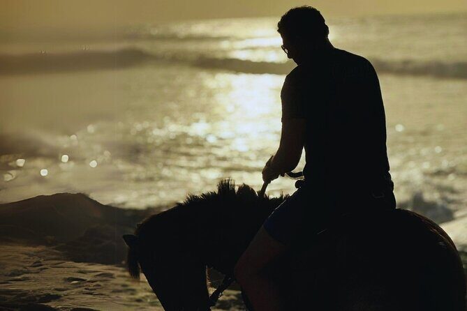 Sunset Horseback Ride by the Beach in Aguadilla, Puerto Rico - Is It Worth the Price?