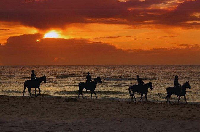 Sunset Horseback Ride by the Beach in Aguadilla, Puerto Rico - Frequently Asked Questions
