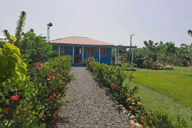 Sunset Horseback Riding Tour in Punta Cana (Private Option) - The Sum Up