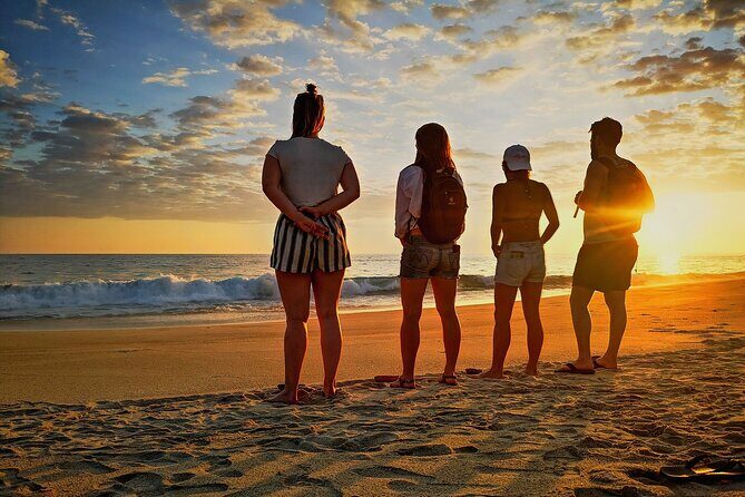 Sunset in the manialtepec lagoon with bioluminescence - Key Points