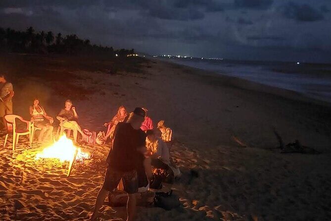 Sunset in the manialtepec lagoon with bioluminescence - Authentic Voices and Review Highlights