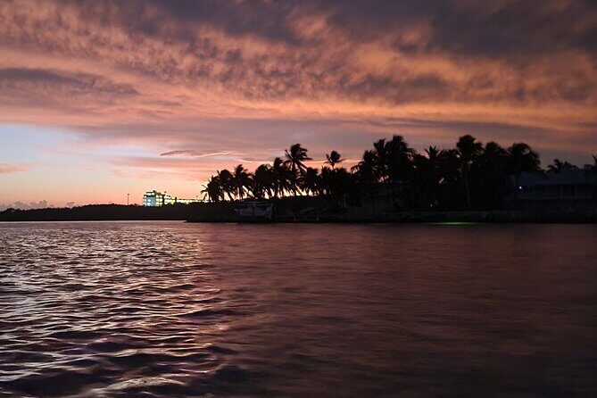 Sunset Kayak Adventure with Enchanting Underwater Lights - The Bottom Line