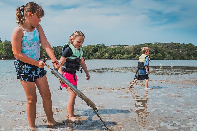 Sunset Kayak Eco Tour with Marine Scientist - An Overview of the Experience